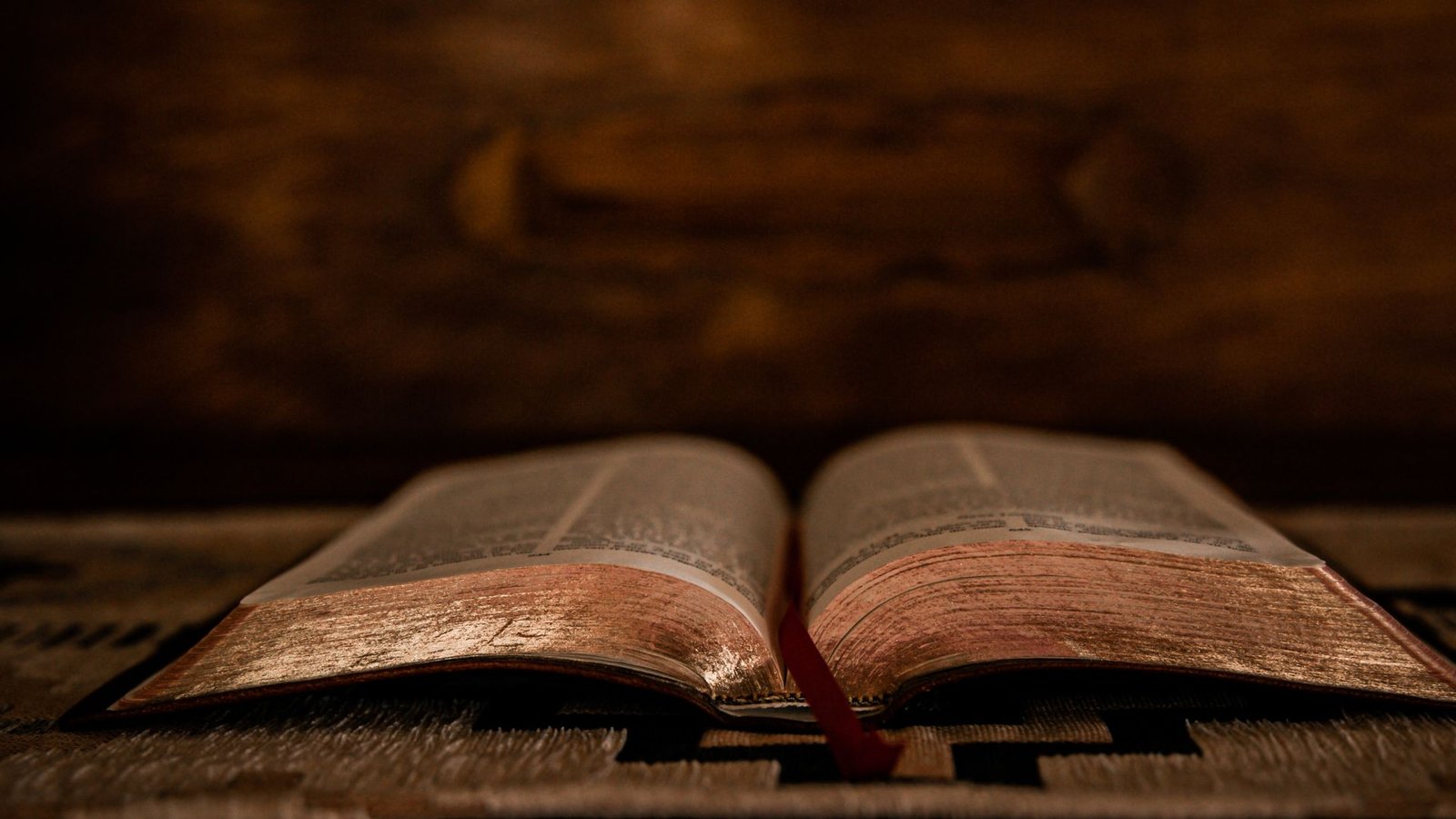 Spiritual Yellow Butterfly Meaning in the Bible: 11 Revealing Symbolic ...